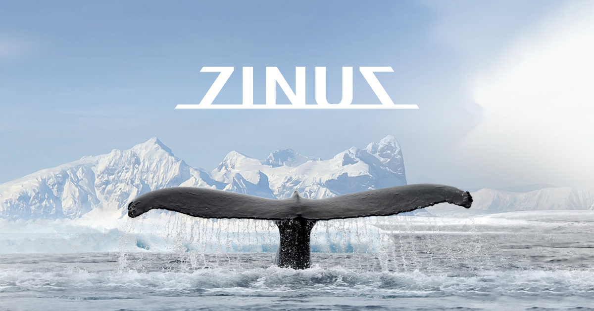 Zinus – News