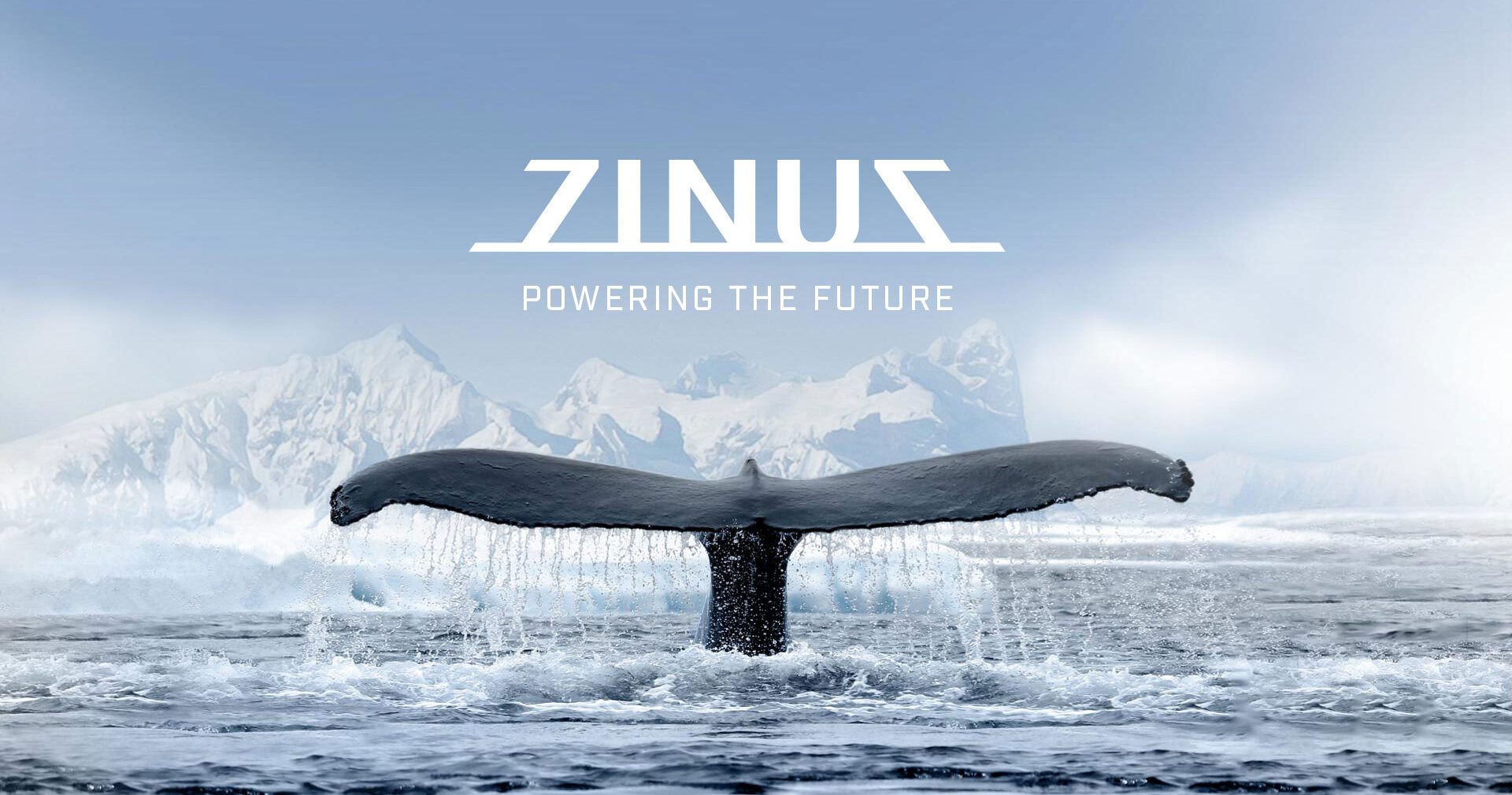 Zinus – Powering the Future