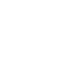 Zinus – Charging Telescopic Autonomous